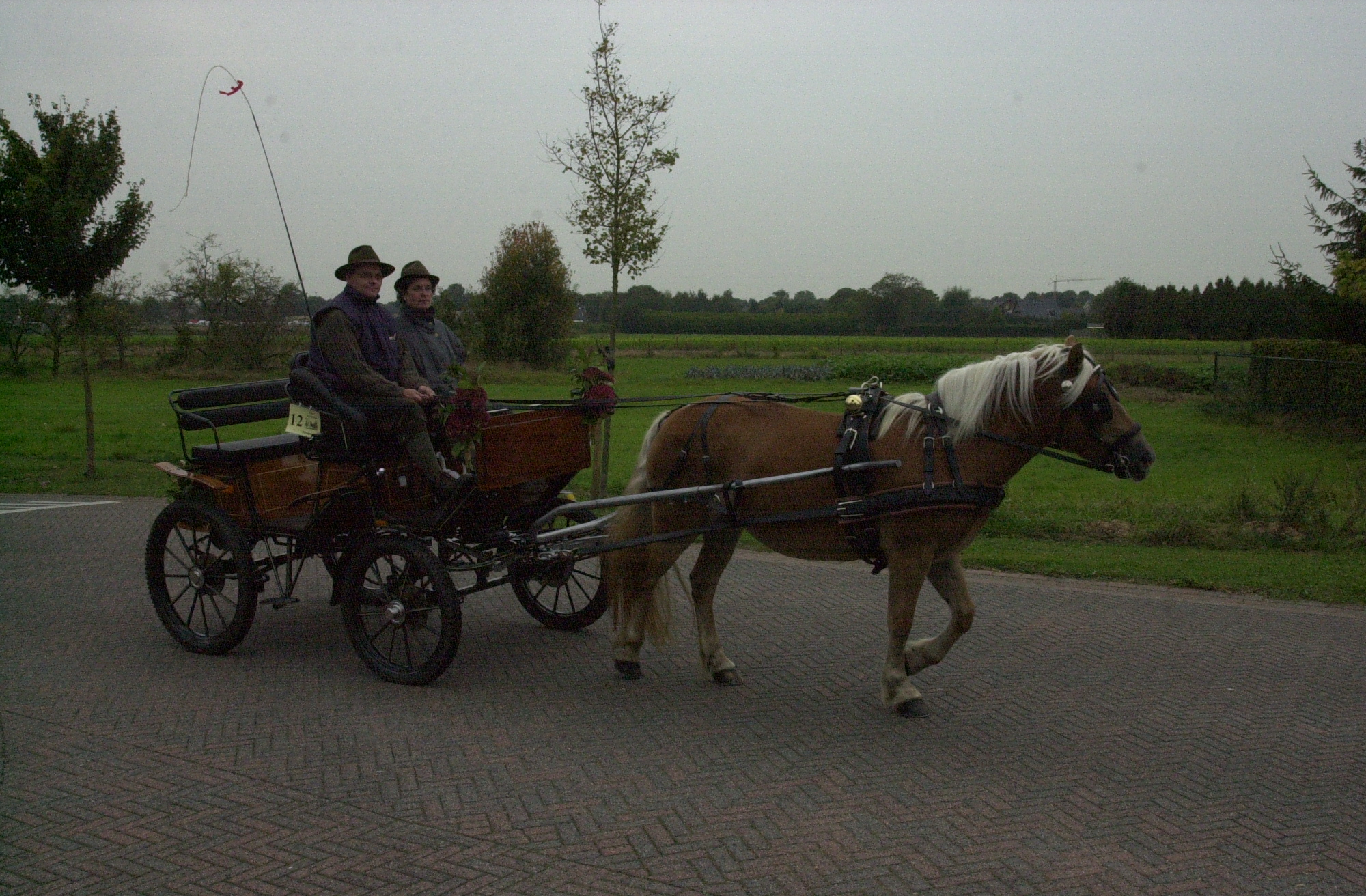 Peyer Rijtuigenstoet - Persbericht 2006