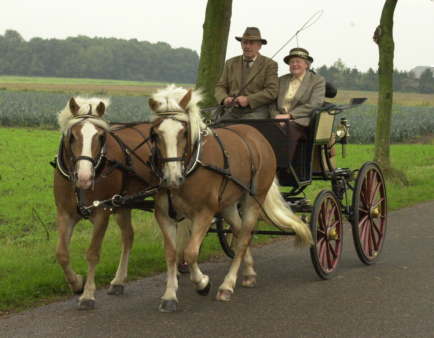 Peyer Rijtuigenstoet - Persbericht 2009